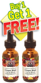 Ginger Root Liquid Extract – Buy 1 Bottle Get 1 Free! 1 Oz Per Bottle ...