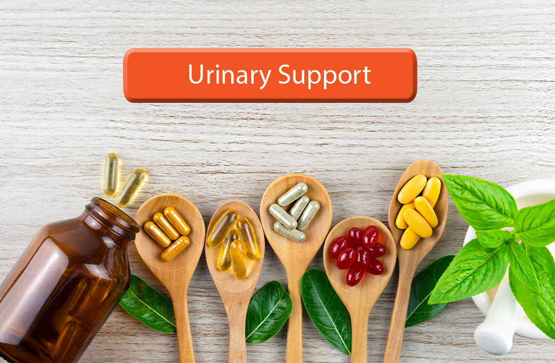 6 Hidden Causes of Urinary Issues – Healthy Insights