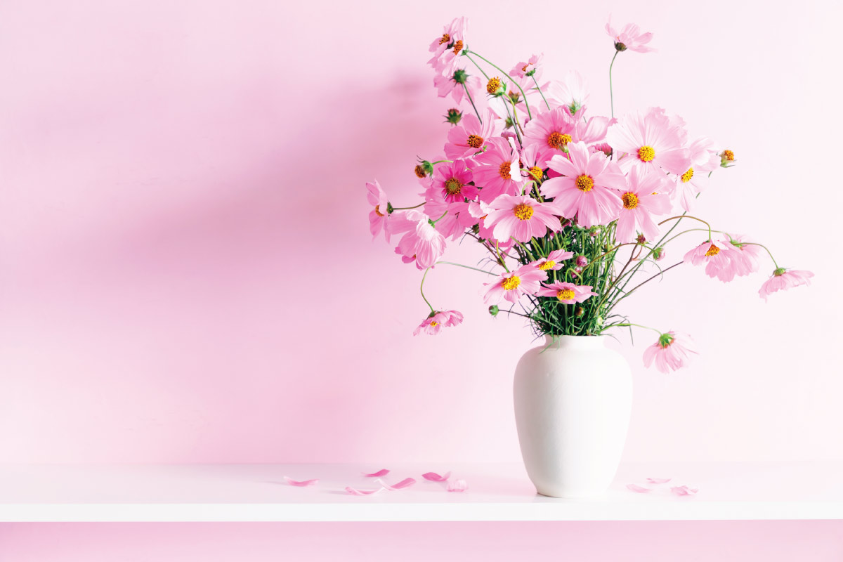 Celebrate October Birthdays with these Vibrant Birth Flowers – Healthy ...