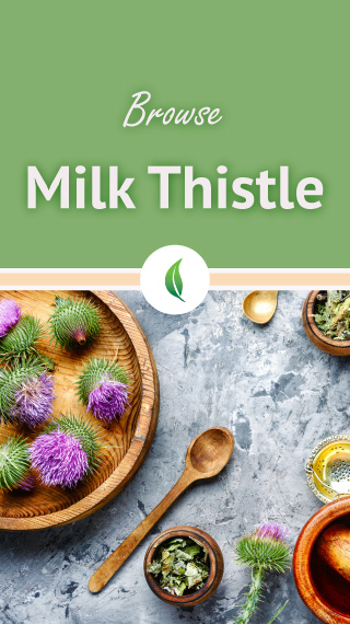 Milk Thistle - 8 Basics About the Natural Liver King - Healthy Insights