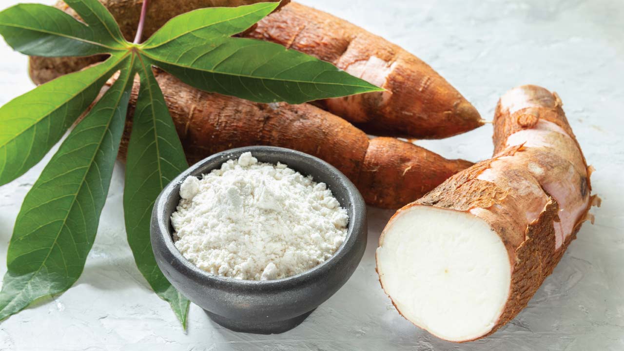 Yucca Root Nutrition Facts