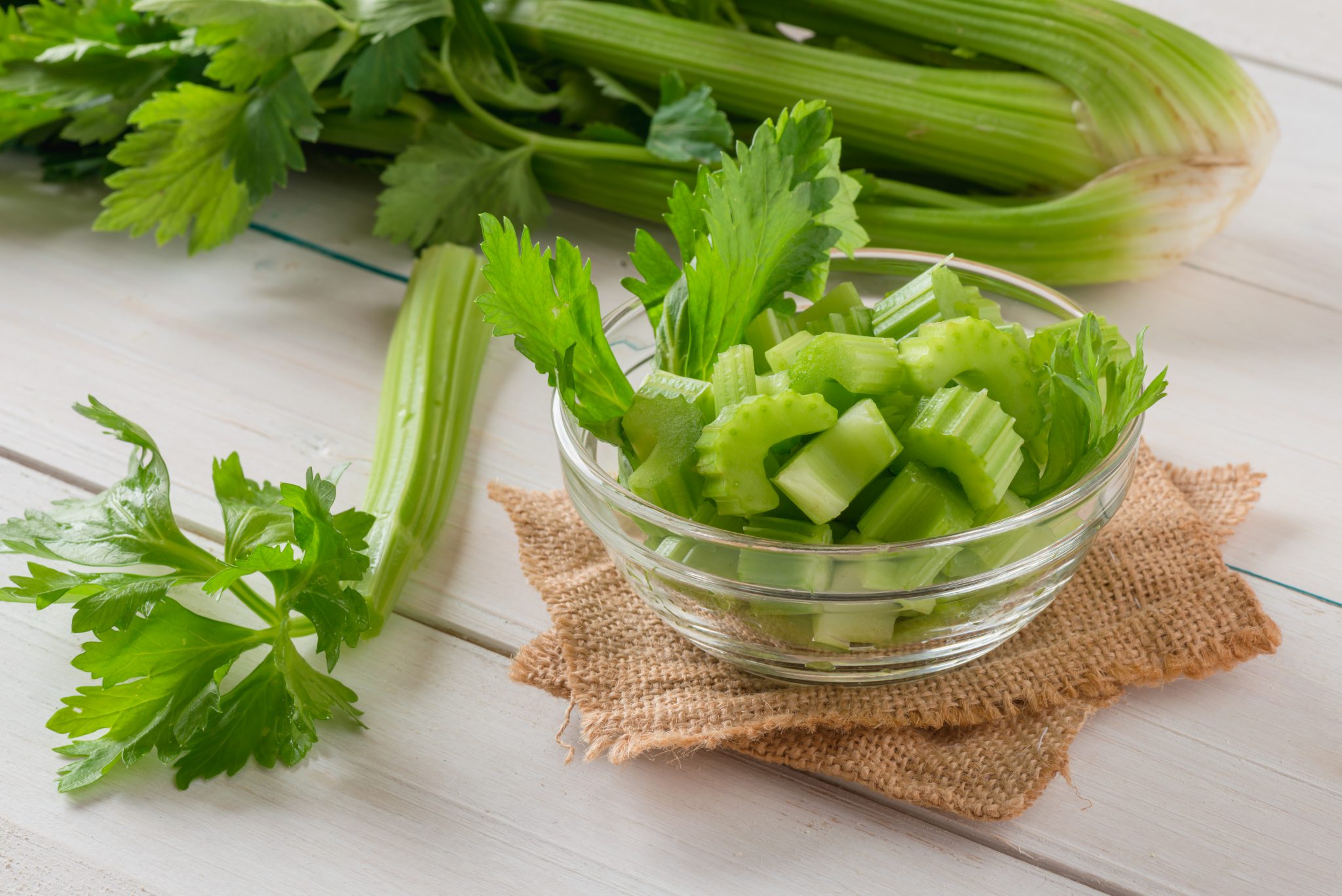 Celebrating National Celery Month – Healthy Insights