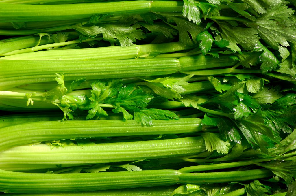 Celebrating National Celery Month – Healthy Insights